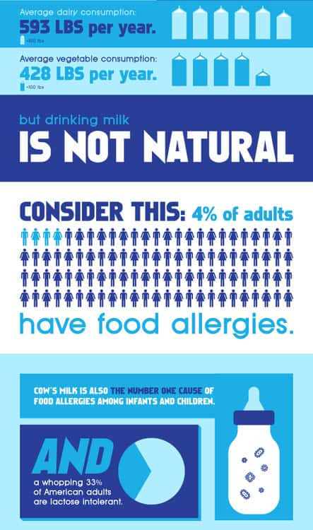 The Source |Milk Madness, Mayhem And Murder!