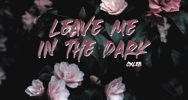 Cxleb’s Releases New Single “Leave Me In The Dark” - The Source