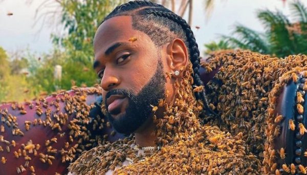 Big Sean Covers Himself in More than 65,000 Bees for Music Video - The ...